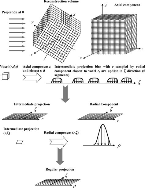 Schematic Presentation Of The Forward Projection Procedure Download