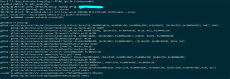 Xray Core Crashed When Establishing Connections To A New Configuration Profile Issue