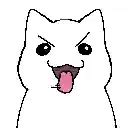 Cat Tongue  Cat Tongue Shaking Khám Phá Và Chia Sẻ 