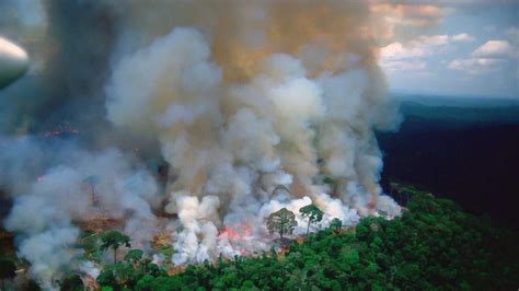 亚马孙森林大火持续燃烧16天地球之肺被浓烟笼罩 高清1080P在线观看平台 腾讯视频