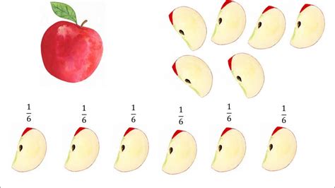 წილადები Youtube