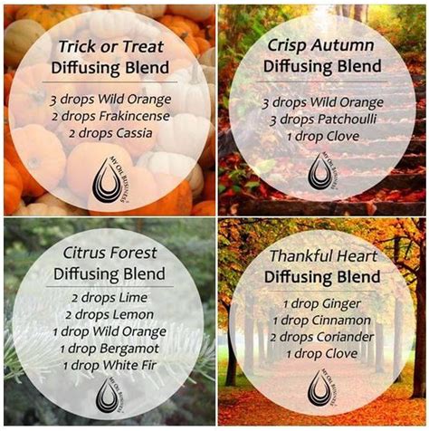 Holiday Diffuser Blends Essential Oil Blends Essential Oils Essential Oil Diffuser Blends