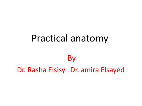 Solution Pratical Anatomy Studypool