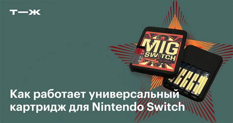 MIG Switch от Nintendo: обзор характеристик, стоит ли покупать картридж