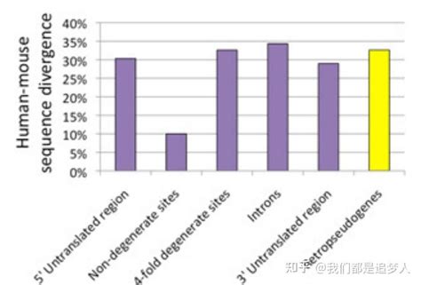 24秋演化生物学课程笔记 群体遗传学之遗传漂变 知乎
