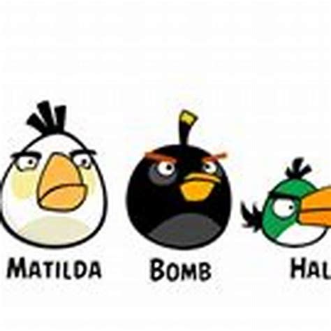 Whats The Red Angry Birds Name Diy Seattle