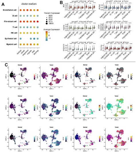Identification Of Molecular Characteristics Of FUT8 And Alteration Of