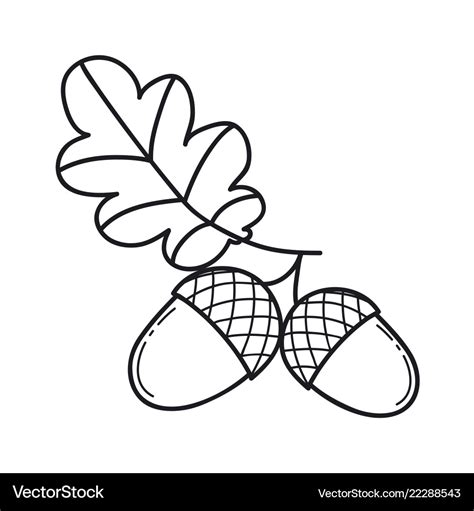 Acorn Outline Clip Art