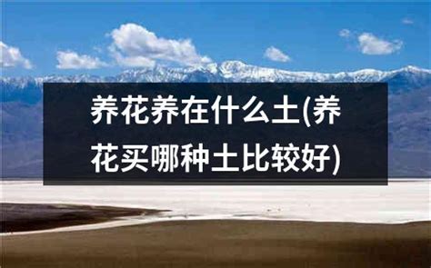 养花养在什么土 养花买哪种土比较好 养花经验