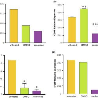 qPCR analysis of NF κB REL A a CDK6 b c MYC c and cFLIP L