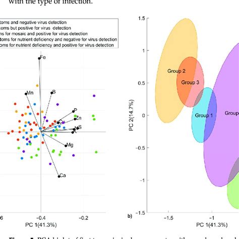 Pca Biplot Of First Two Principal Components With Samples Colored Download Scientific Diagram