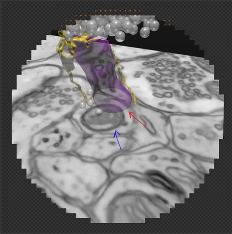 Rendering Object Alignment Between Viewport And Render Are Different Blender Stack Exchange