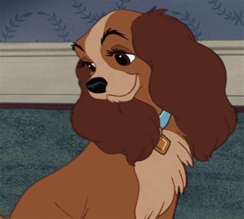 Lady Animated Multiverse Dimension Wiki Fandom