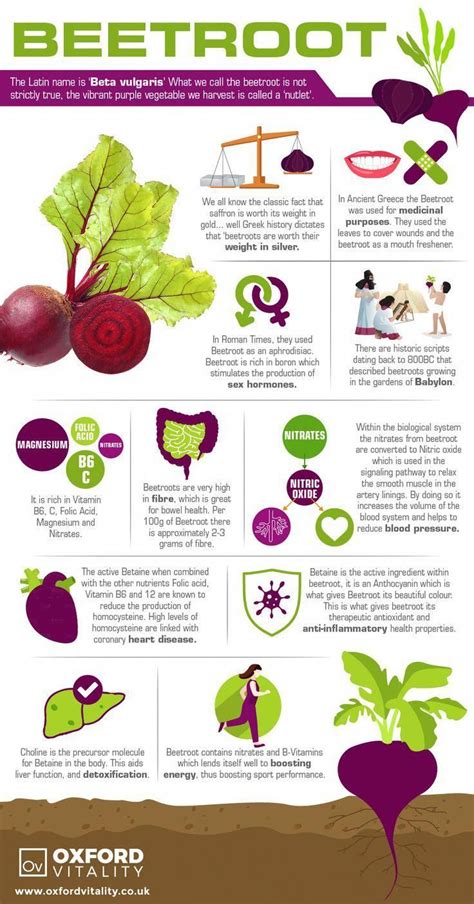 10 Benefits Of Eating Healthy Olives Artofit
