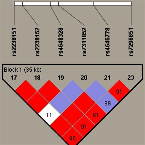 Haplotype Block Structure For The Aldh2 Gene On Chromosome 12