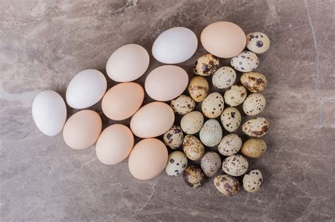 Types Of Edible Eggs Nutrition Health Benefits And Which One Is Best For You Health Tips