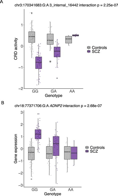 Scz Specific Qtl Effects Genotype Dependent Effect On A Crd Activity