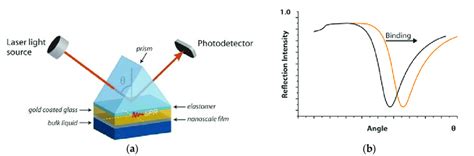 A Measurements Are Performed On A Sensor Slide Typically A Download Scientific Diagram