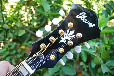 Rex And The Bass 2014 Ibanez F Style M522s Bs Mandolin Review