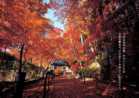 そうだ 京都行こう 2009年紅葉 粟生光明寺 MEMORY OF KYOTOLIFE