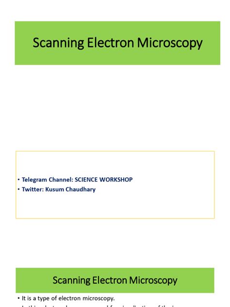 Scanning Electron Micros Pdf Scanning Electron Microscope Electron Microscope