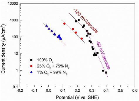 Current Potential Correlation Obtained On A Polycrystalline Palladium