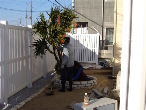 Os邸 ココスヤシ And ドラセナ の植え込み ローコストで大満足の仕上がり！群馬県でエクステリア・外構ならガーデンデザインaoki