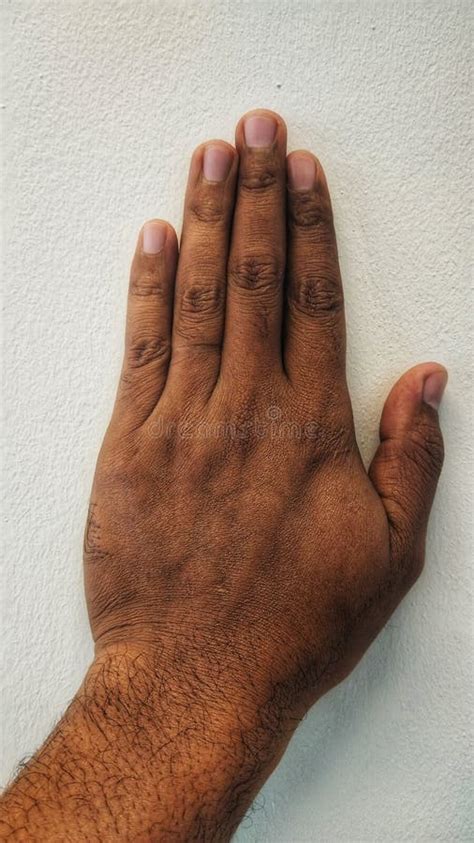 Human Fingers Stock Image Image Of Fingers Sensation 336779271