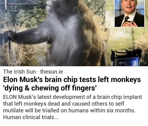 Inside Elon Musks Neuralink Tests That Left Monkeys ‘dying And Chewing