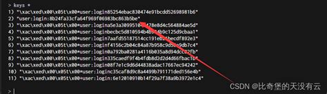 解决redis的键值前出现类似xacxedx00x05tx00这样的字符序列