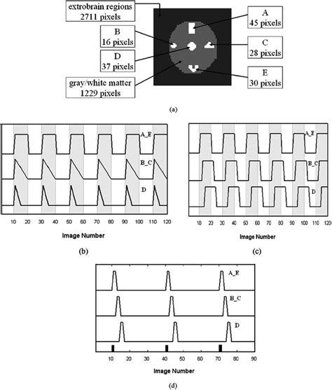 Schematic Illustration Showing Spatial And Temporal Patterns In