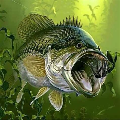 Fat Bass Custom Baits
