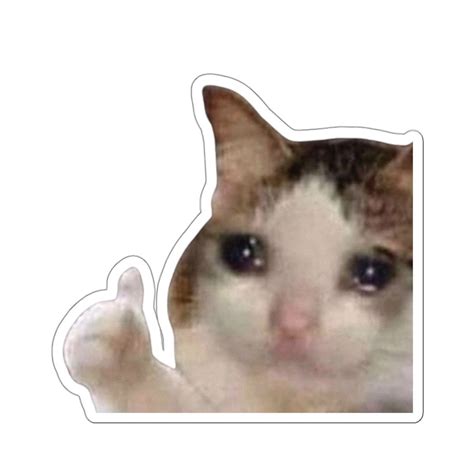 Crying Cat Thumbs Up Meme Laptop Waterbottle Macbook Pro Etsy