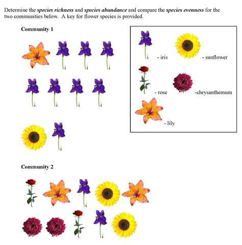 Determine The Species Richness And Species Studyx