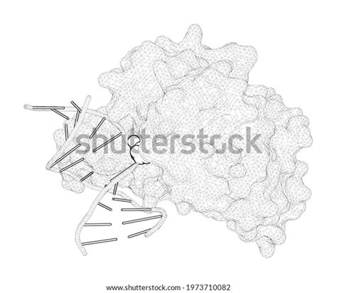 3d Rendering Line Drawing Molecule Structure Stock Illustration 1973710082 Shutterstock