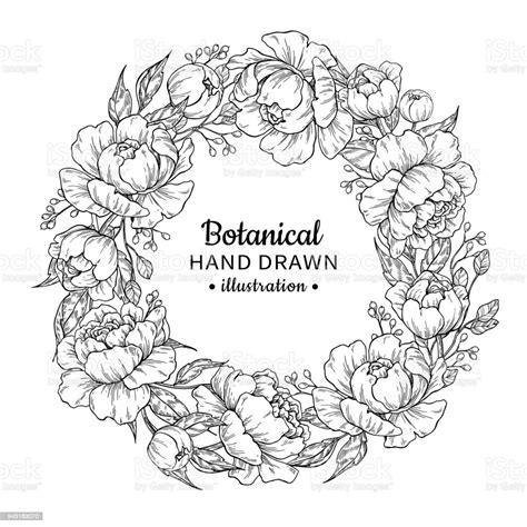 꽃 화 환입니다 빈티지 벡터 프레임 그리기입니다 작 약 장미 나뭇잎과 베리 스케치 새겨진 0명에 대한 스톡 벡터 아트 및 기타 이미지 Istock