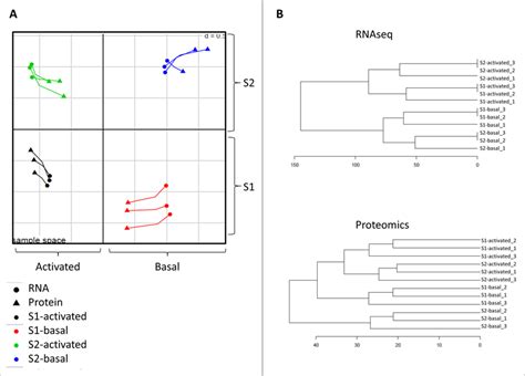 integrative analysis of rnaseq and proteomics data a mcia of rnaseq