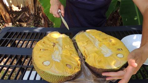 Джекфрут. Jackfruit. - YouTube