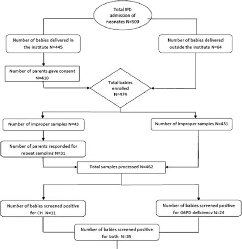Flowchart Depicting The Study Setting And The Sampling Download Scientific Diagram
