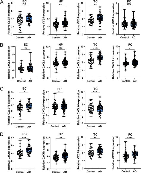 Upregulated Mrna Expression Levels Of Chemokine Genes In Brain Tissues