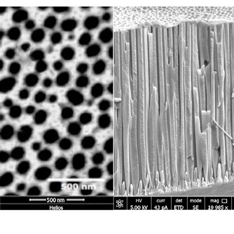 A B High Resolution Sem Images Acquired At High Beam Energy 5 Kv