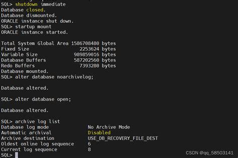 Oracle数据库启动归档模式 Csdn博客