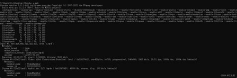 Ffmpeg Ffmpeg Dts Csdn