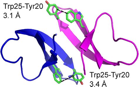 Structure Of Hnp 2 Dimer Pdb Id 1zmh 9 Showing Different Download Scientific Diagram