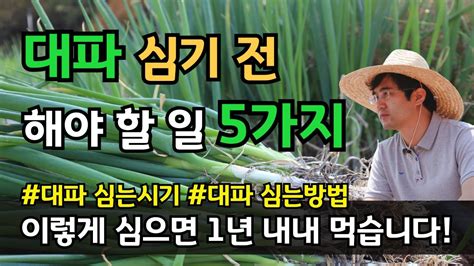 대파심는시기 심는방법 대파 씨앗파종시기 Youtube