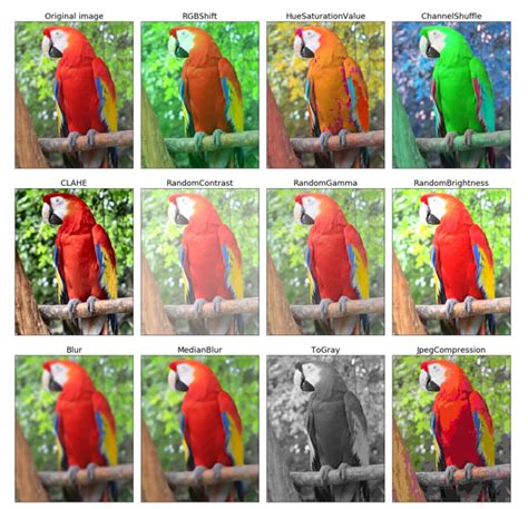 Image Data Augmentation Overview