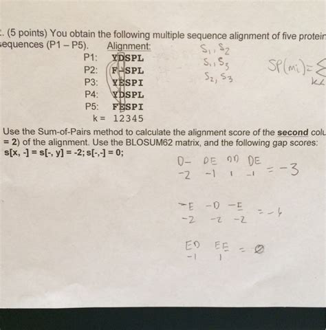 Solved No Idea How To Calculate The Alignment Score Using