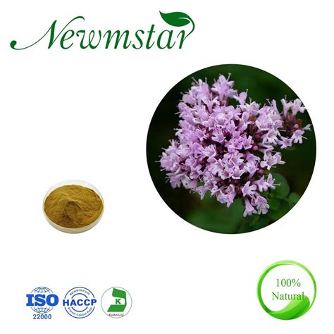 Thyme Powder Extract 10 1 Thyme Extract 4 1 Thymus Vulgaris Extract