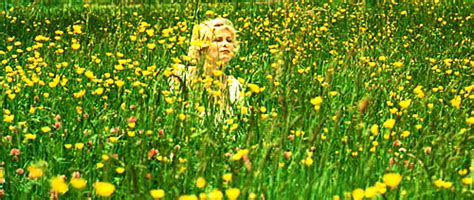 Flower Meadow S Find And Share On Giphy