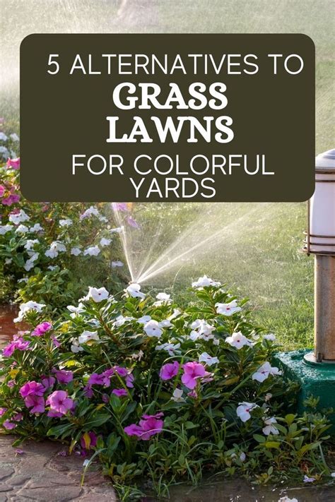 5 Sustainable Alternatives To Grass Lawns For Colorful Yards Artofit